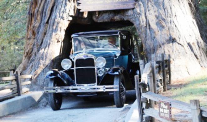 California Lost Coast Tour Overview – Model A Touring Club